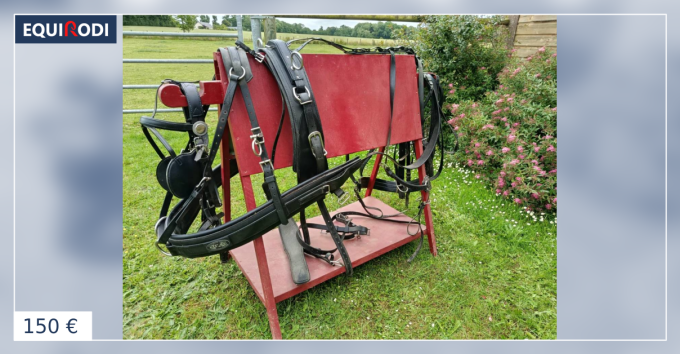 Harnais silco cheval (1007018) | Occasion | Equirodi France