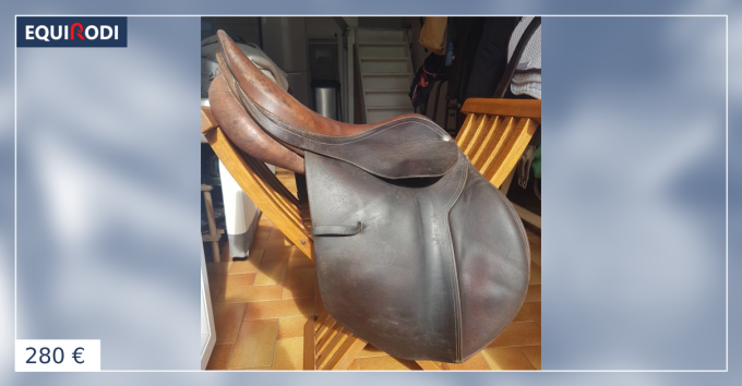 Selle Point Cheval (856919) | Acheter cette selle d'occasion | Equirodi ...