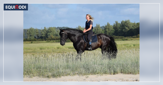 LEBRERO SG étalon PRE APTO origine SOTO GIL noir (859239) | Saillie ...