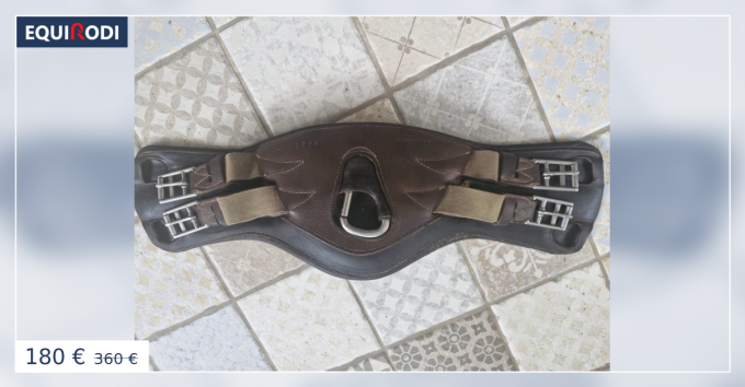 Sangle courte Devoucoux (867258) | Occasion | Equirodi France