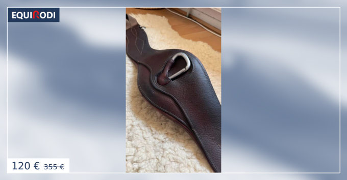 Sangle CWD anatomique 125 (883812) | Occasion | Equirodi France