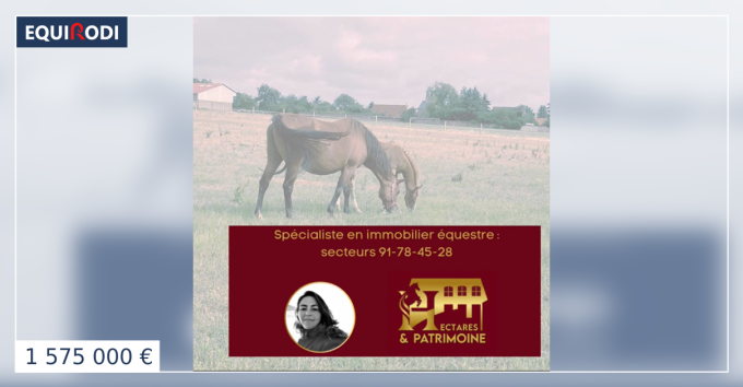 Ecurie proche Paris (901543) | Acheter cette propriété | Equirodi France