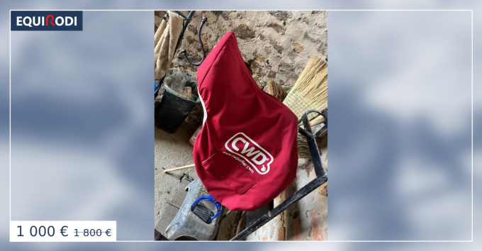 Selle CWD 18 (911277) | Acheter cette selle d'occasion | Equirodi France