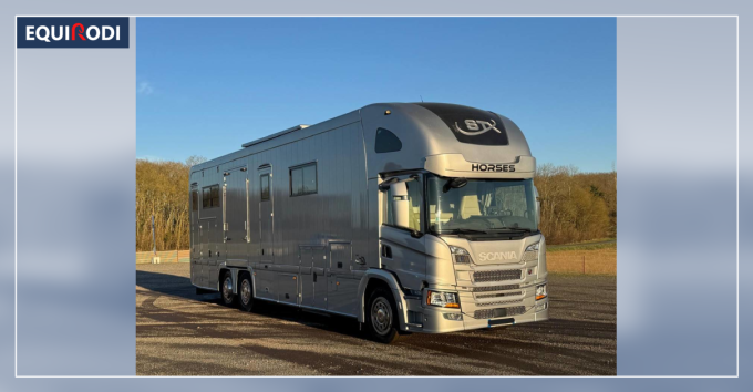 STX 6 CHEVAUX AVEC POP OUT ET PUSH UP - VENDU (927920) | Acheter ce ...