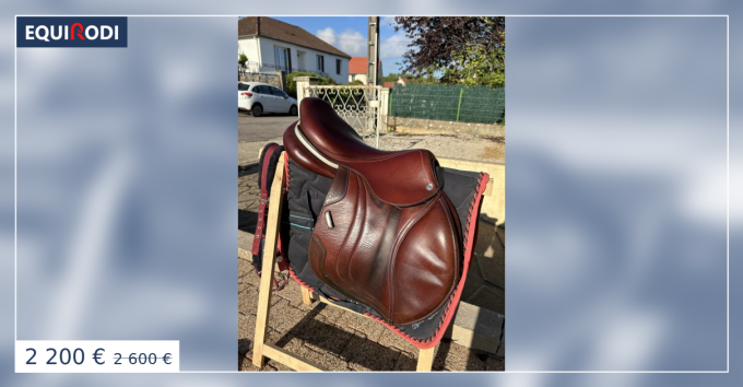 Selle Cwd Classic Close Contact 2021 (928809) | Acheter cette selle d ...