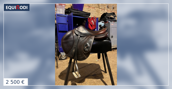 Selle cwd 2gs 17 (931899) | Acheter cette selle d'occasion | Equirodi ...