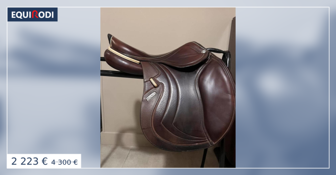 2GS MADEMOISELLE CWD 2017 (932281) | Acheter cette selle d'occasion ...