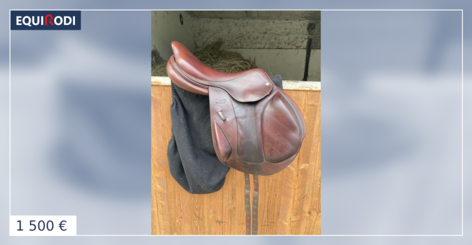 CWD mono quartier (934461) | Acheter cette selle d'occasion | Equirodi ...