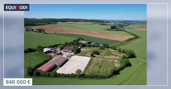 Très Belle Ecurie de Commerce à 10 kms de SENS (950995) | Acheter cette ...