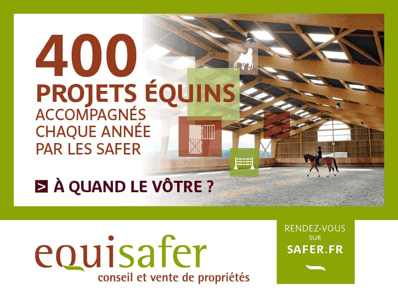 Chevaux à vendre A la une | Equirodi France